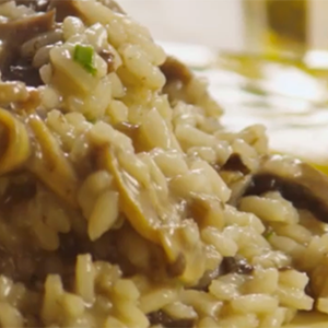 Low Protein Foods Recipes | Ajinomoto Cambrooke